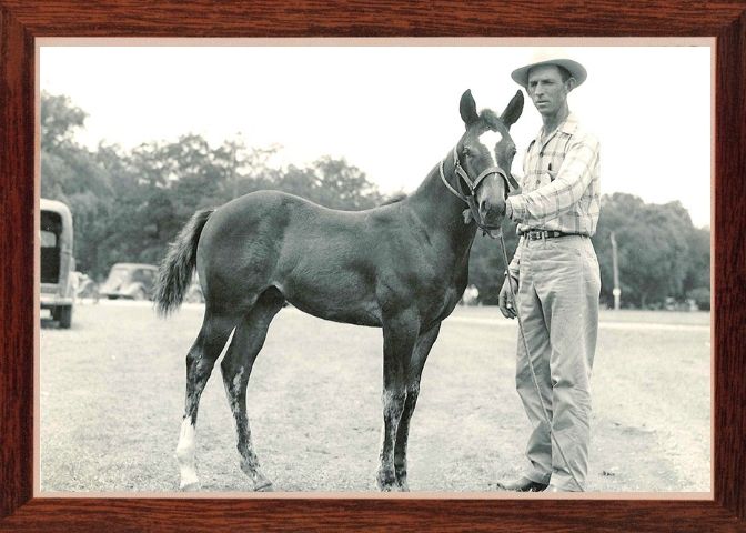 Learn the History - Shield Ranch