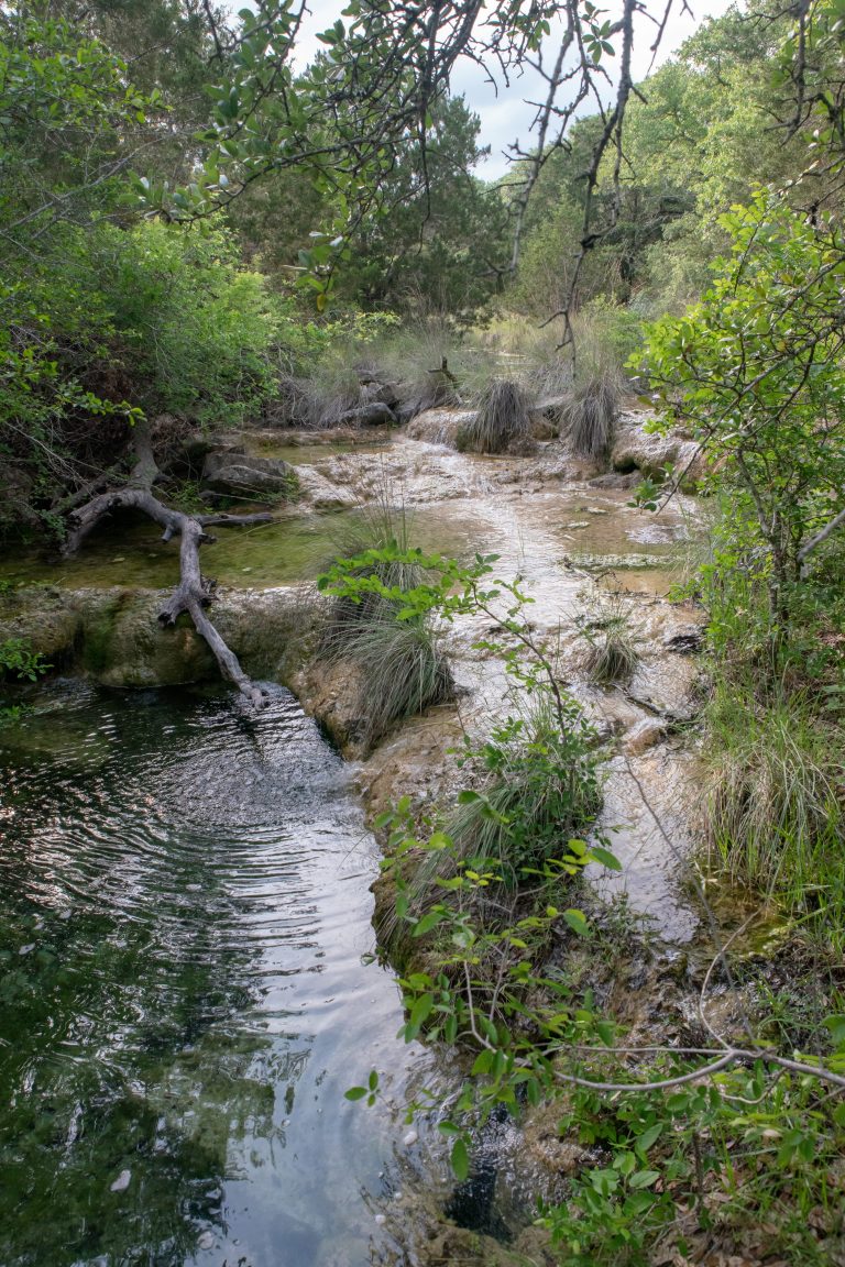 Land Stewardship - Shield Ranch