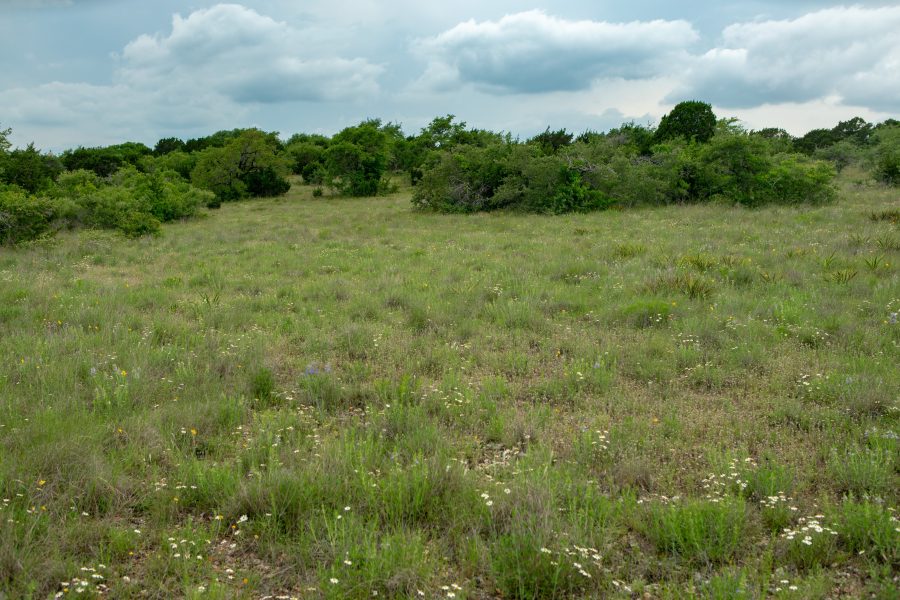 Land Stewardship - Shield Ranch