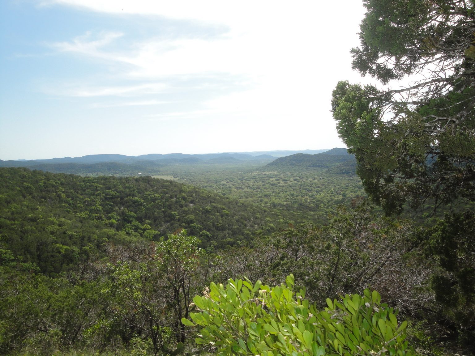 Shield Ranch Camp Wood Job Announcement - Shield Ranch