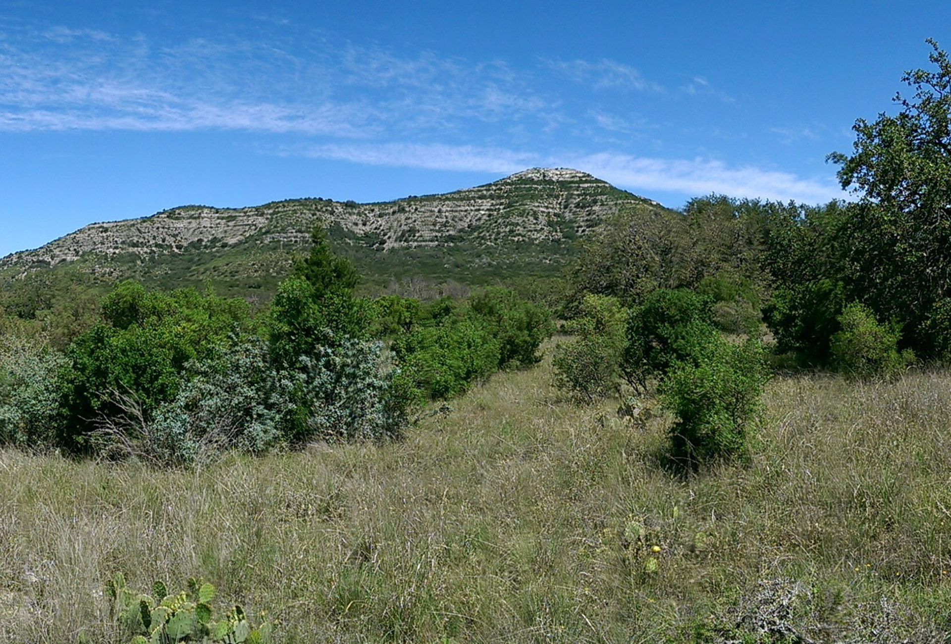 Camp Wood - Shield Ranch