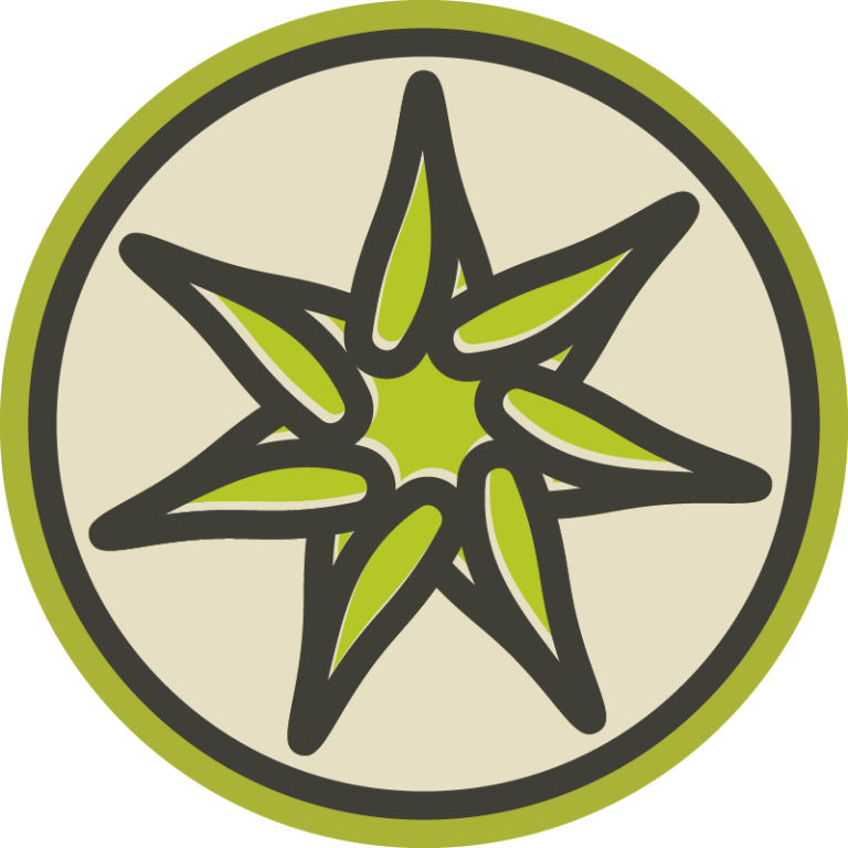 Shield Ranch - Wild For Good